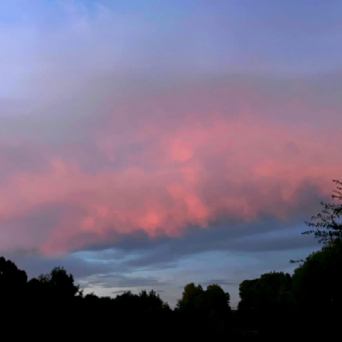 Unplugged from the Matrix